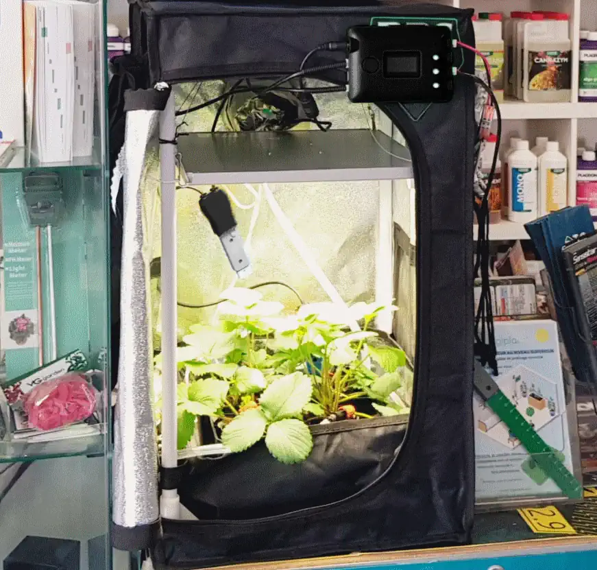 TH Sensor – Digiplant